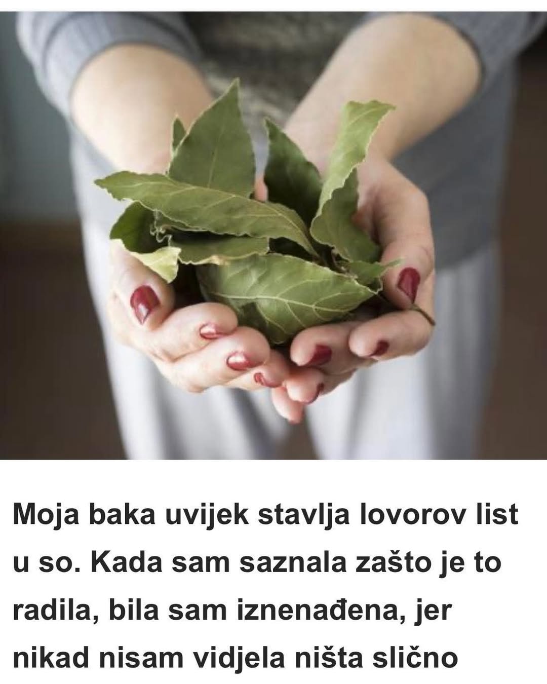 Moja baka je uvijek stavljala lovorov list u sol – Kada sam otkrila ...